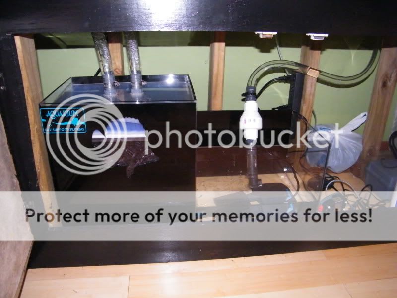 my 150 gallon tank project with pictures! | MonsterFishKeepers.com