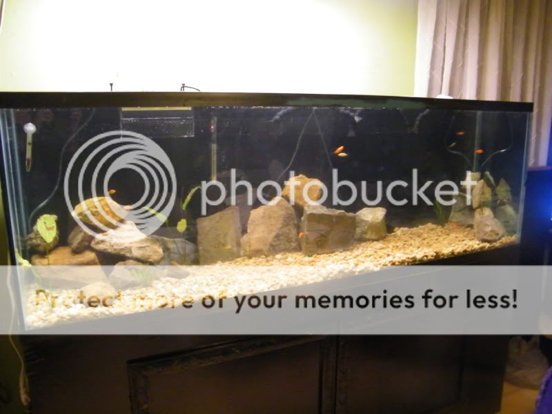 my 150 gallon tank project with pictures! | MonsterFishKeepers.com