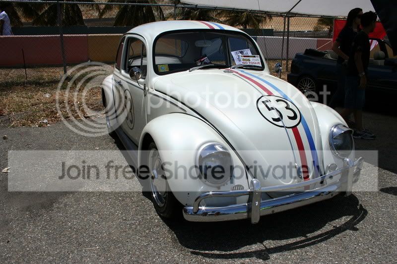 VolkyMania 2008 | Puerto Rico | | VW Vortex - Volkswagen Forum