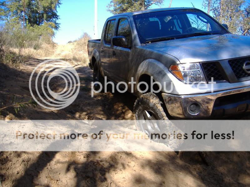 a few pics from today | Nissan Frontier Forum