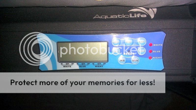 72" (6ft) aquatic life cf fixture with moonloght leds - Reef Central ...