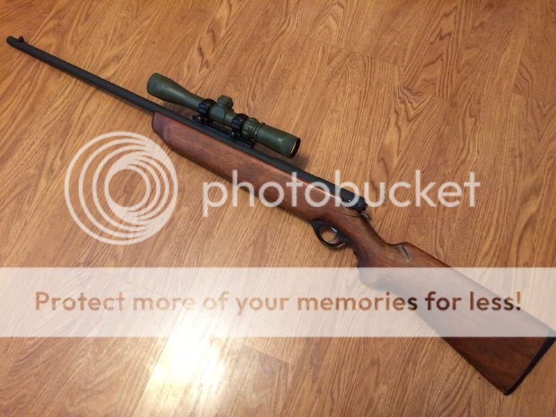 What would you do on this beat up old stock? | Rimfire Central Firearm ...