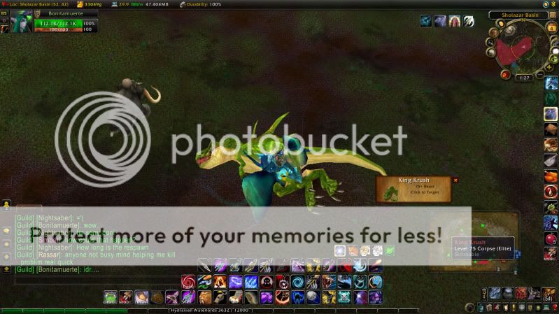 King Krush - WoW Petopia Community