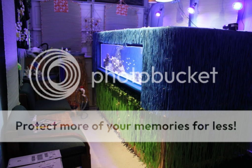 New 600 gallon "tub" FOWLR setup - Reef Central Online Community